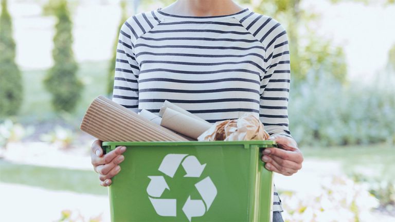 10 Consejos para reciclar de manera correcta | Aseguremos Consultores